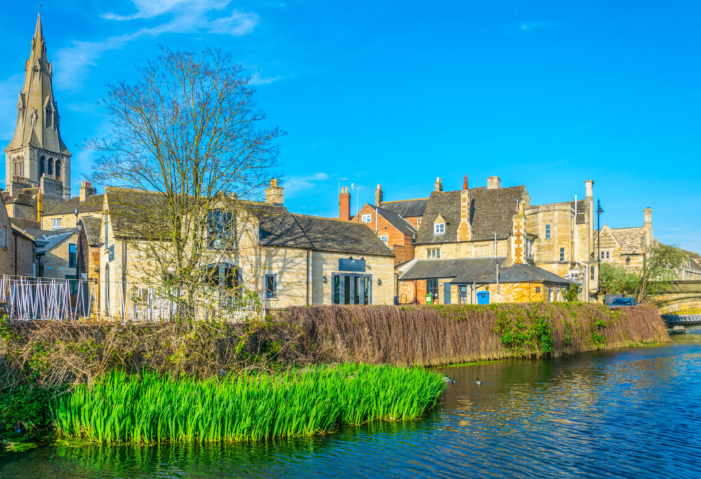 Lincolnshire Snowdrops NEW - Bibbys of Ingleton